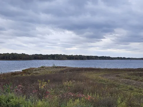 Best Hikes and Trails in Bushwacker Lake Conservation Area | AllTrails