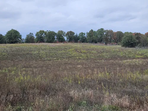 Best Hikes and Trails in Bushwacker Lake Conservation Area | AllTrails