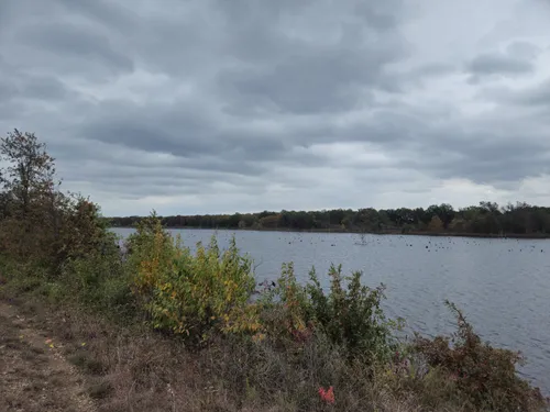 Best Hikes and Trails in Bushwacker Lake Conservation Area | AllTrails