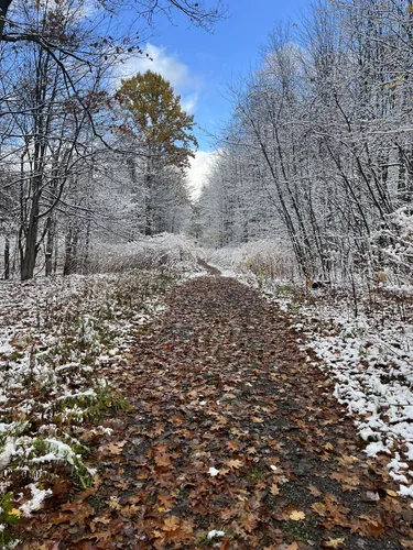 Best Hikes and Trails in Chestnut Ridge Park | AllTrails