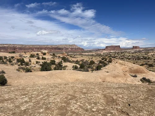 Best Hikes and Trails in Navajo Rocks Trail System | AllTrails