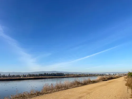 Best Hikes and Trails in Sunnyvale Baylands Park | AllTrails