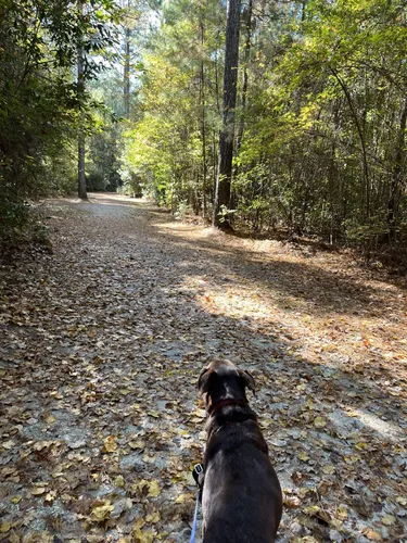 Best Hikes and Trails in Deppe Park | AllTrails