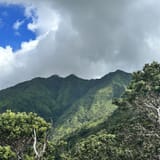 Moanalua Valley and Tripler Ridge Trail Loop, Oahu, Hawaii - 191 ...