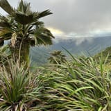 Moanalua Valley and Tripler Ridge Trail Loop, Oahu, Hawaii - 191 ...