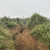 Moanalua Valley and Tripler Ridge Trail Loop, Oahu, Hawaii - 191 ...