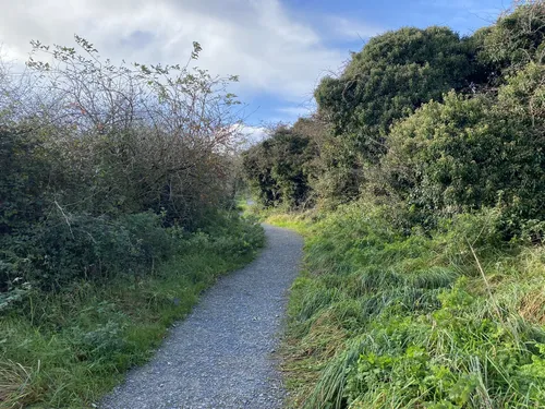 Best Forest Trails in Portlick Millennium Forest | AllTrails