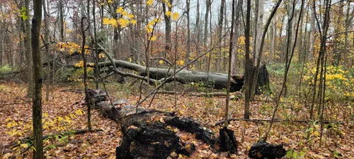 Best Hikes and Trails in Morris Woods State Park | AllTrails