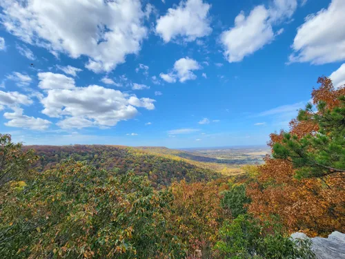 10 Best Trails and Hikes in Sewanee | AllTrails