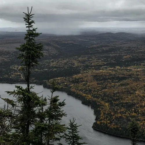 Best Forest Trails in Mount Carleton Provincial Park | AllTrails
