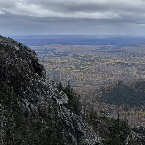 Best Forest Trails in Mount Carleton Provincial Park | AllTrails