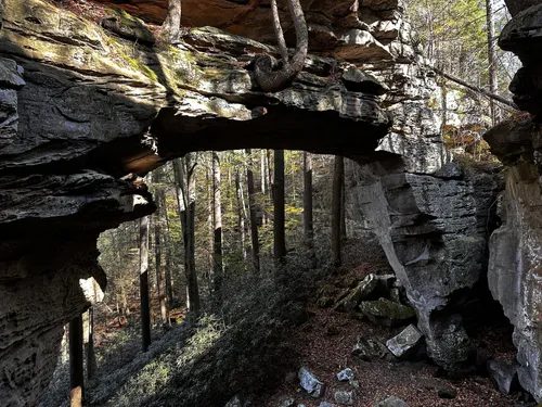 2023 Best Walking Trails in Strunk | AllTrails