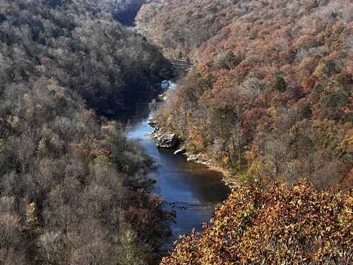 2023 Best Walking Trails in Strunk | AllTrails