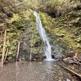 Madison Falls Trail, Washington - 1,589 Reviews, Map | AllTrails