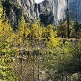 Yosemite Valley Loop Trail, California - 308 Reviews, Map | AllTrails