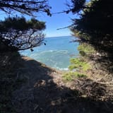 San Simeon Bay Trail, California - 1,149 Reviews, Map | AllTrails