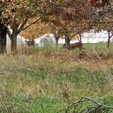 Warminster Park Trail, Pennsylvania - 621 Reviews, Map | AllTrails