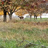 Warminster Park Trail, Pennsylvania - 621 Reviews, Map | AllTrails