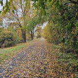 Warminster Park Trail, Pennsylvania - 621 Reviews, Map | AllTrails