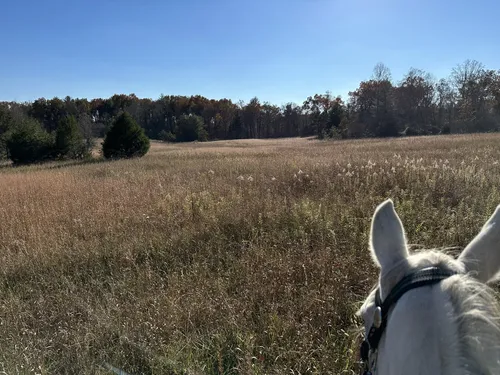 Best Hikes and Trails in Scott State Forest | AllTrails