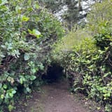 Trinidad Head/Tsurai Loop, California - 1,102 Reviews, Map | AllTrails