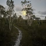 Cooloola Great Walk: Segment 1, Queensland, Australia - 156 Reviews ...