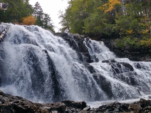 Best Hikes and Trails in Moscow | AllTrails