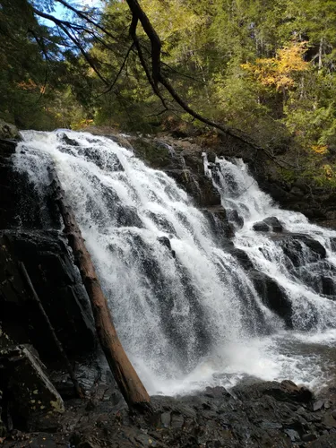 Best Hikes and Trails in Moscow | AllTrails