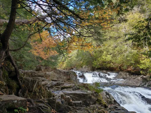 Best Hikes and Trails in Moscow | AllTrails