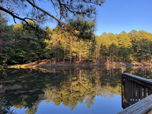 Best Hikes and Trails in Conner Park | AllTrails