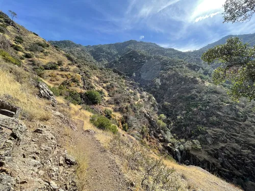 10 Best Waterfall Trails in Mount Diablo State Park | AllTrails