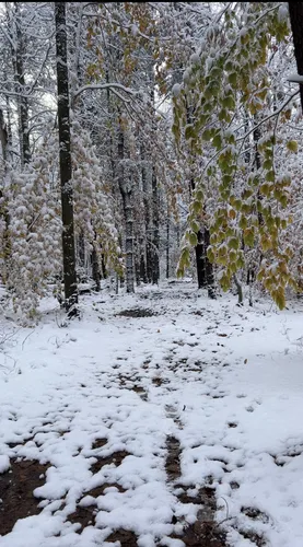 Best Hikes and Trails in Boston Forest County Park | AllTrails