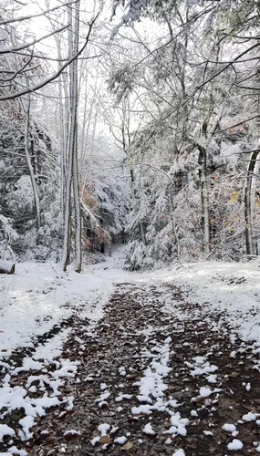 Best Hikes and Trails in Boston Forest County Park | AllTrails