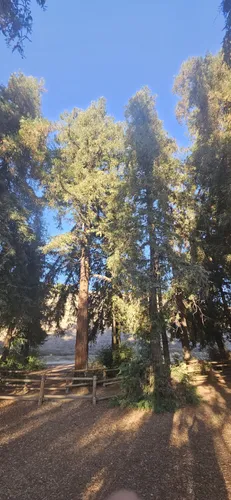 2023 Best Lake Trails in Yorba Linda | AllTrails