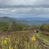 Siler Bald via Appalachian Trail, North Carolina - 709 Reviews, Map ...