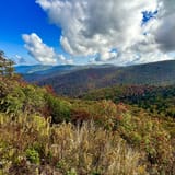 Sam Knob Trail, North Carolina - 1,249 Reviews, Map | AllTrails
