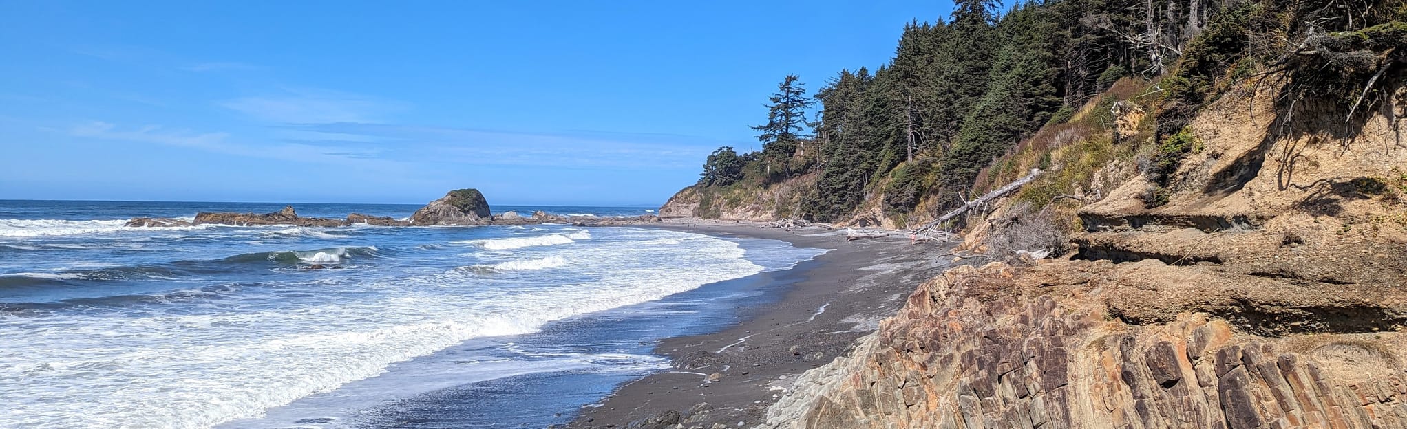 Kalaloch 4th Beach Trail, Washington - 294 Reviews, Map | AllTrails