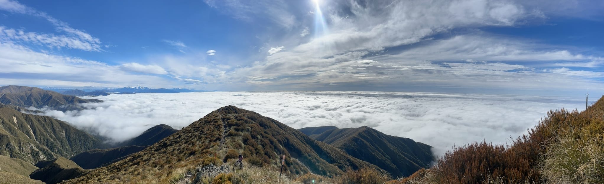 Mt Peel Track, Canterbury, New Zealand - 12 Reviews, Map | AllTrails