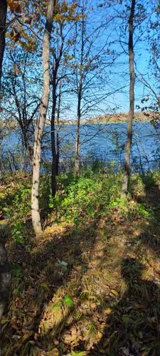 Best Hikes and Trails in Monson Lake State Park | AllTrails