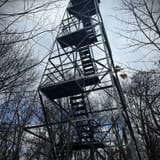 Mount Tremper Trail, New York - 1,454 Reviews, Map | AllTrails
