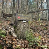 Mount Tremper Trail, New York - 1,454 Reviews, Map | AllTrails