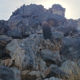 Victory Stairs, Arizona - 724 Reviews, Map | AllTrails
