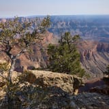 Cape Final Trail, Arizona - 579 Reviews, Map | AllTrails