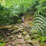 Cross Island Track and The Needle, Rarotonga, Cook Islands - 191 ...