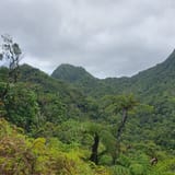 Cross Island Track and The Needle, Rarotonga, Cook Islands - 191 ...