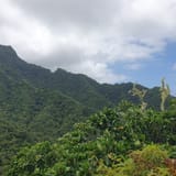 Cross Island Track and The Needle, Rarotonga, Cook Islands - 191 ...