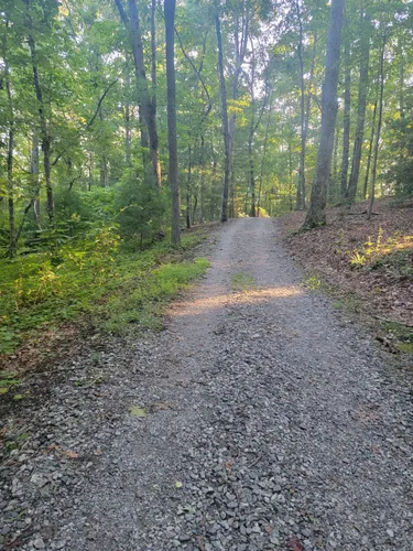 Best Hikes and Trails in Meeks Park | AllTrails