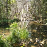 Clamshell Falls via Behana Gorge Trail, Queensland, Australia - 225 ...