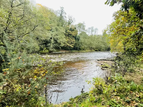 10 Best Walking Trails in Harrogate | AllTrails