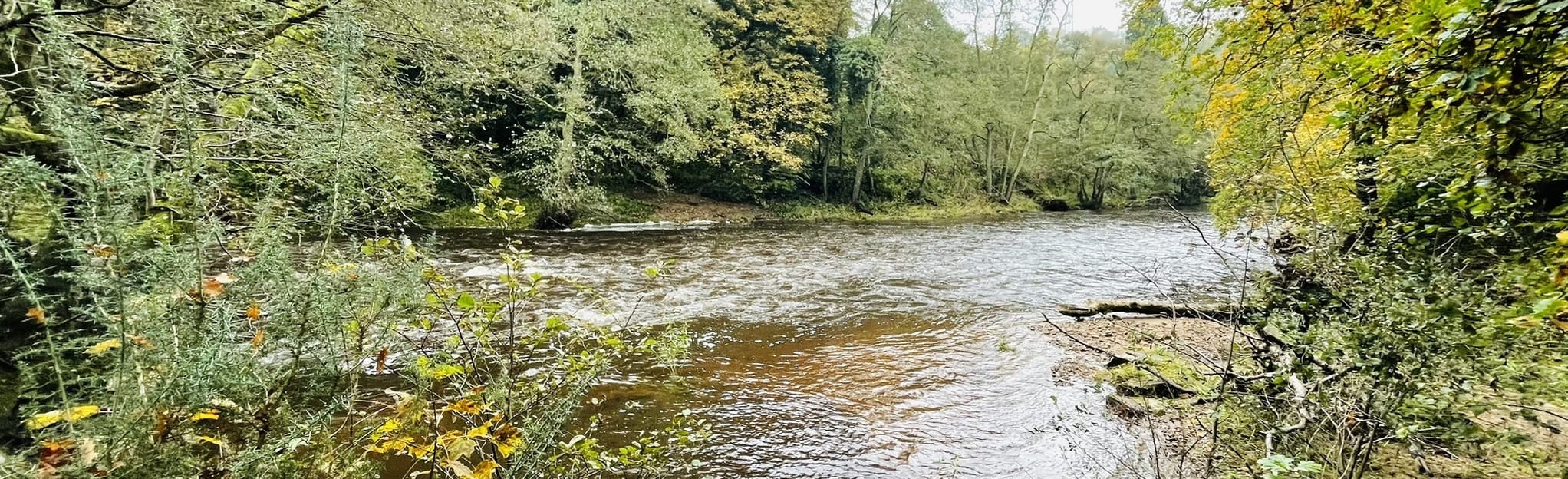 Nidd Gorge to Harrogate via Knaresborough, North Yorkshire, England - 8 ...